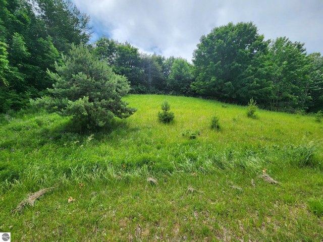 Deer Ridge Trl, Beulah, MI 49617