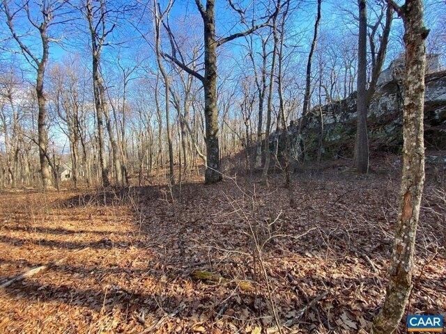 Deer Springs Ln Lot,wintergreen Resort, Plot For Sale