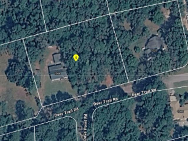 Deer Trail Dr