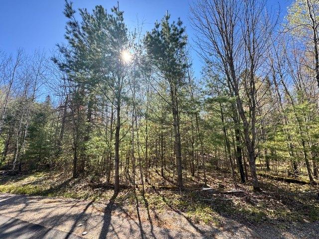 Deer Trl Lot 2A, Eagle River, WI 54521