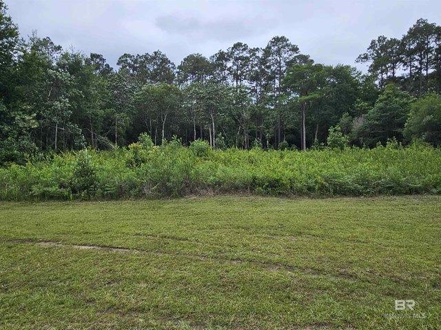 Deerfield Dr Lot 17, Irvington, AL 36582