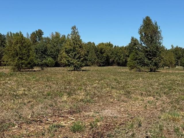 Deerfield Ln, New Boston, TX 75570