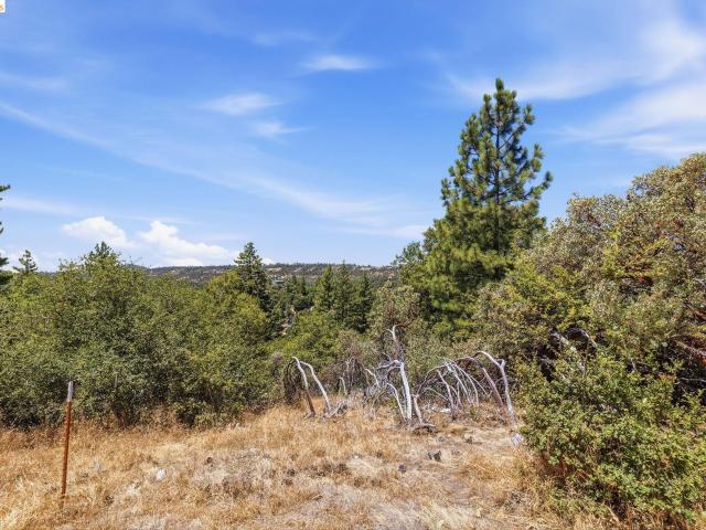 Deerhaven, Tuolumne CA 95379