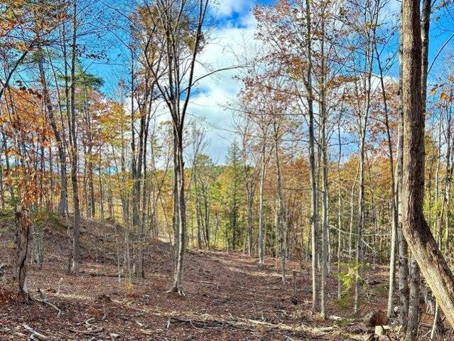 Deering NH 03244 102282927