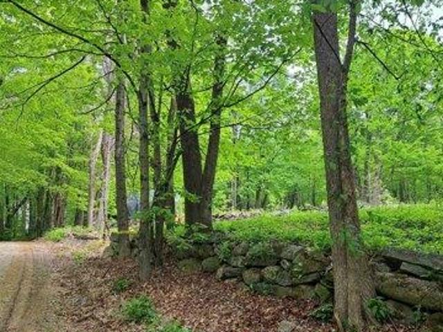 Deering NH 03244 105092663