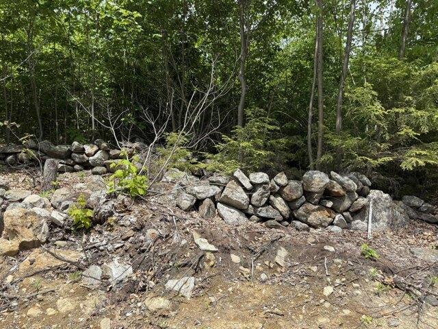Deering Ridge Rd Lot,shapleigh, Plot For Sale