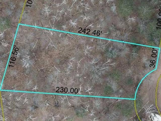 Deerpath Pass Lot 196, Danbury, WI 54830