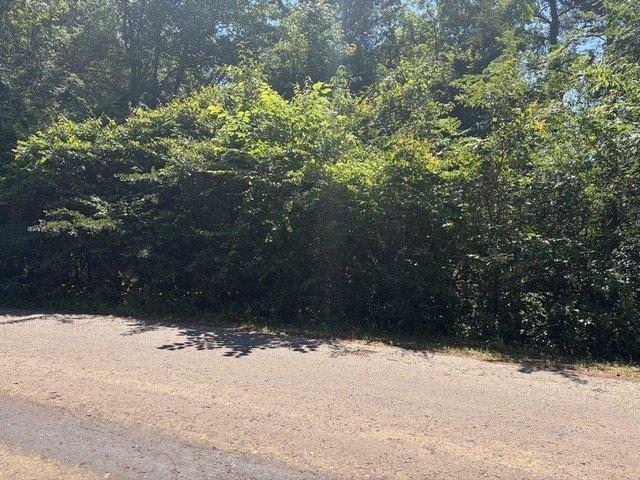 Deerwood Dr Lot 11, Harleton, TX 75651