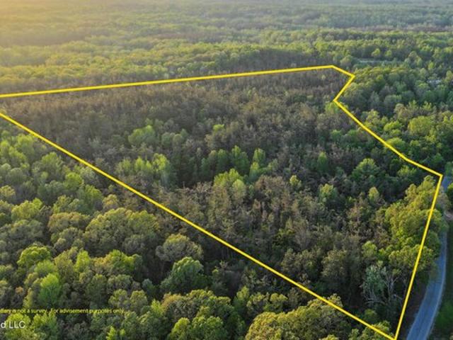 Dees Rd, Enid, MS 38927