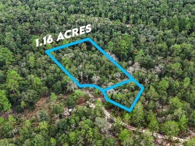 Defuniak Springs FL 32433 LS91812201