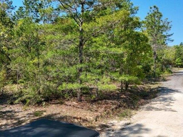 Defuniak Springs FL 32433 104903294