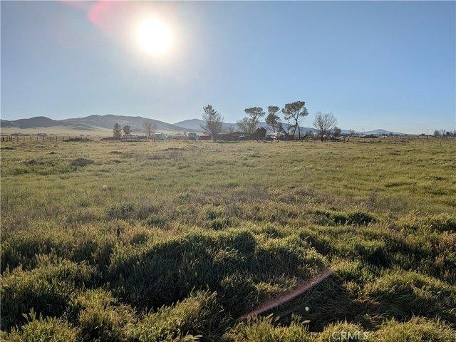 Degiorgi, California Valley, CA 93453