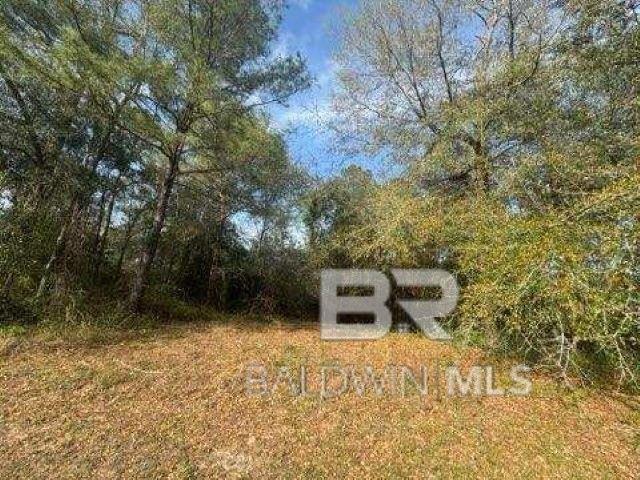 Delta Woods Dr Lot 111, Bay Minette, AL 36507