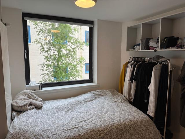 Deluxe 28square Studio | May 31 Aug 28|Full sun