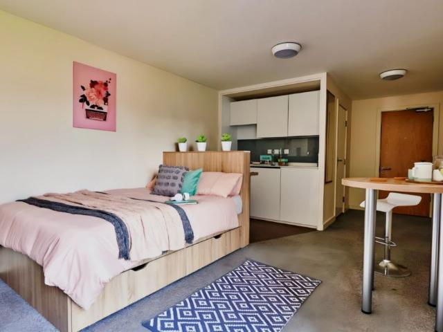 Deluxe Accessible Studio