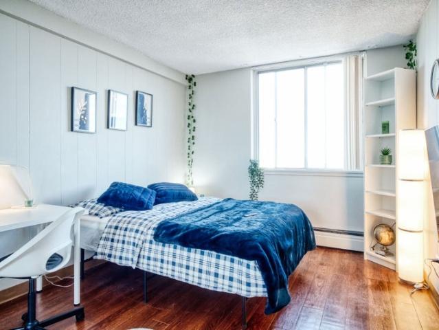 Deluxe Basic Waverly Apartments
