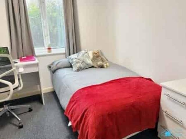Deluxe En suite Dolphin House