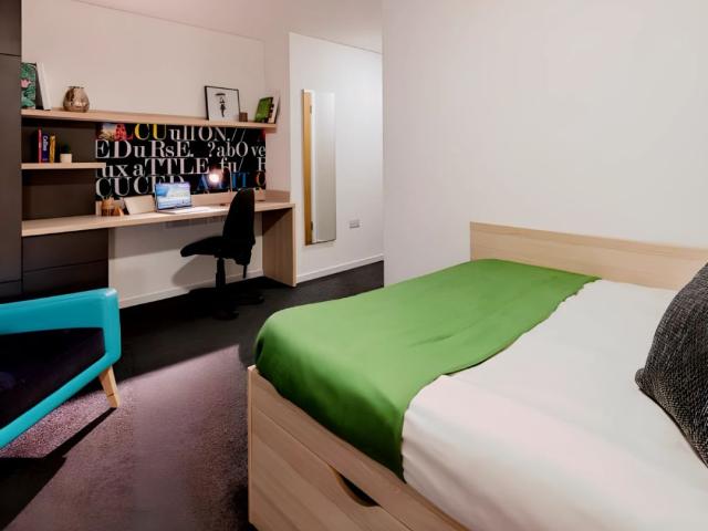 Deluxe Shared Apartment