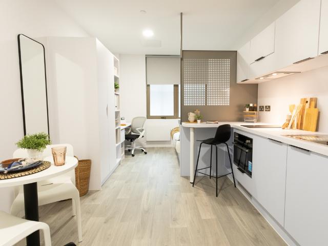 Deluxe Studio at Promenade Student. Studio to rent £1,517 pcm £350 pw