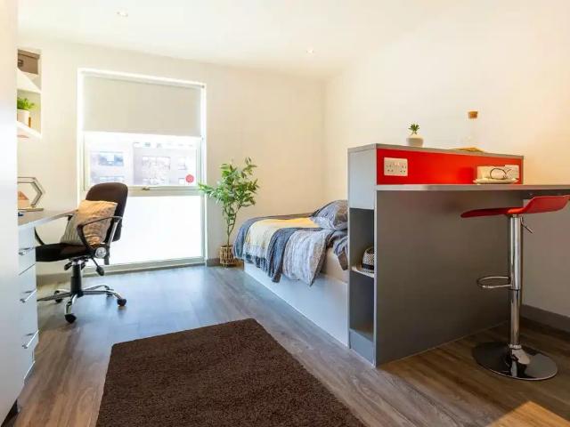 Deluxe Studio