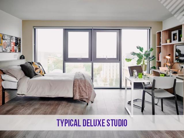 Deluxe Plus Studio