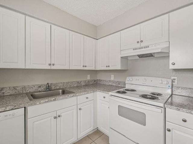 Del Rio Apartment Homes 2 Bedroom Apartment for Rent at 5013 E Sligh Ave, Tampa, FL 33617