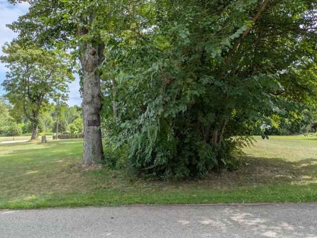 Delano St, Romulus, MI 48174