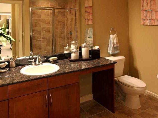 Delante Apartments 1 Bedroom Apartment for Rent at 1001 Lake Carolyn Pkwy, Irving, TX 75039