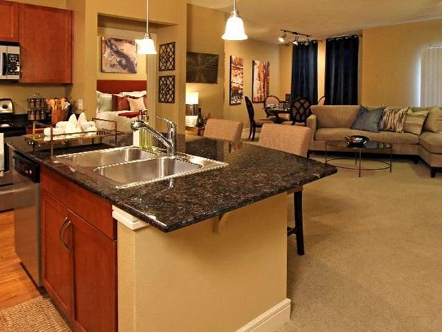 Delante Apartments 1 Bedroom Apartment for Rent at 1001 Lake Carolyn Pkwy, Irving, TX 75039