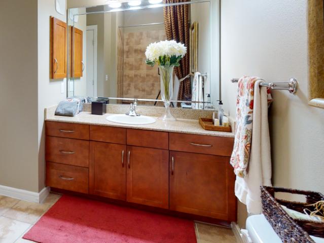 Delante Apartments 2 Bedroom Apartment for Rent at 1001 Lake Carolyn Pkwy, Irving, TX 75039