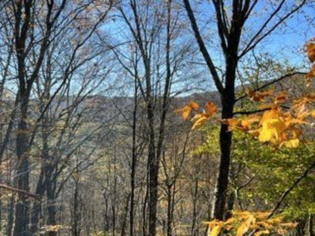 Delaware 20 Ave Lot 149, Delhi, NY 13753