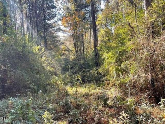Delaware Ave, McComb, MS 39648