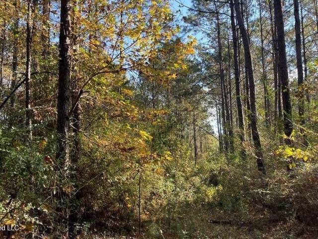 Delaware Avenue, McComb, MS 39648
