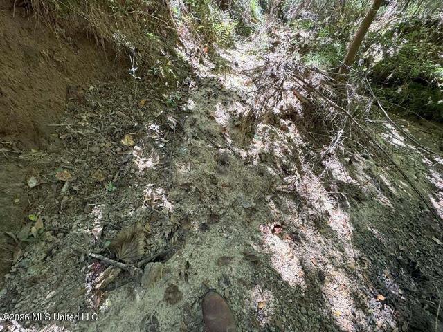 Delaware Avenue, McComb, MS 39648