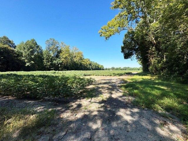 Delaware Rd, Courtland, VA 23837