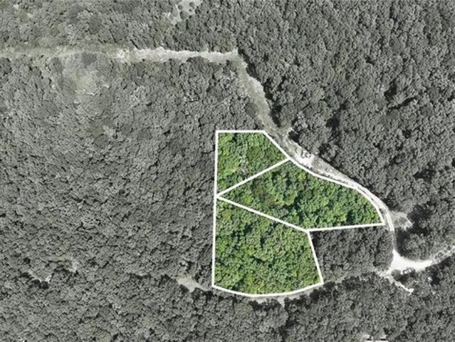 Dellwood Ct, Lincoln, MO 65338