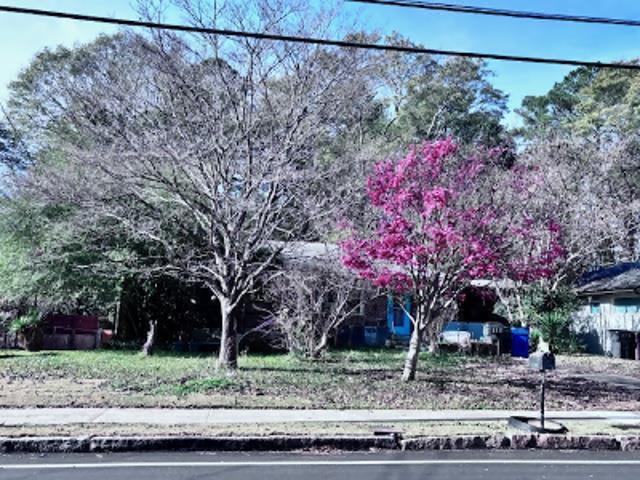 Delowe Dr