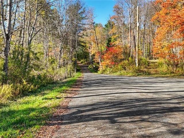 Deputron Hollow Rd, Brooktondale, NY 14817