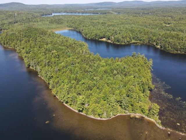 Depot Rd, Lakeville, Plot For Sale