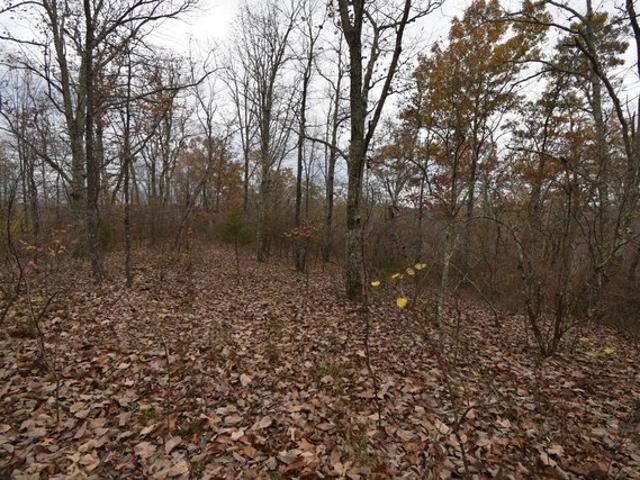 Depriest Bend Dr, Lobelville, TN 37097