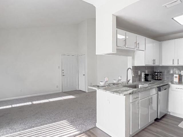 Derby at Steeplechase 1 Bedroom Apartment for Rent at 11220 West Rd, Houston, TX 77065