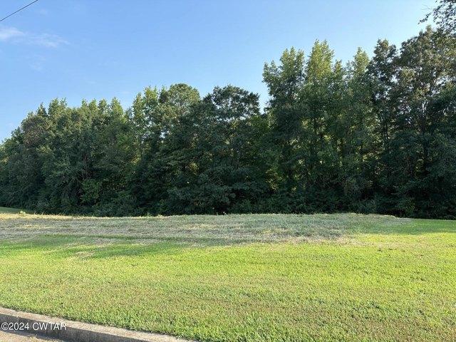 Derek Dr Lot 82, Lexington, TN 38351