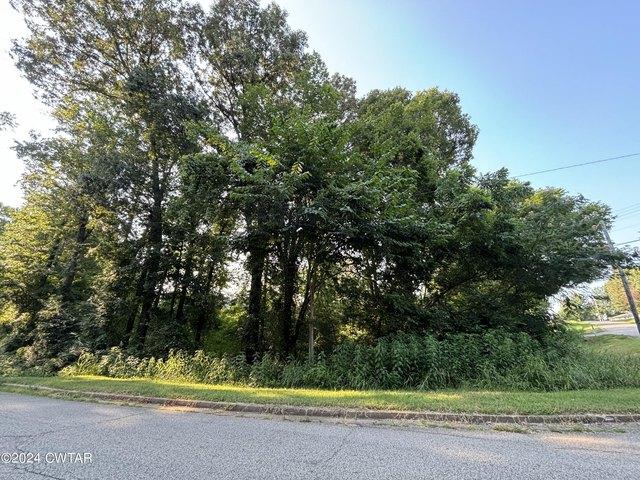Derek Dr Lot 88, Lexington, TN 38351