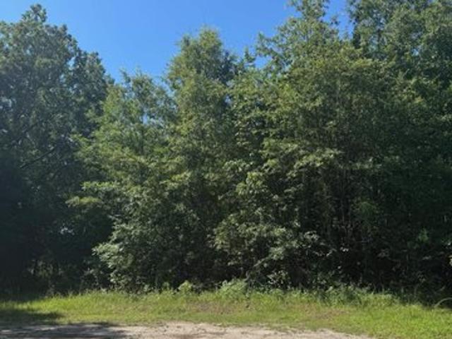 Derrick Ct, Marion, SC 29571
