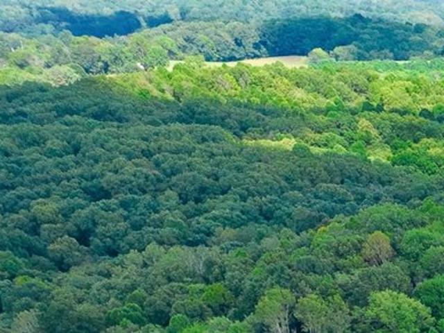 Derry Lane Rd, Wilkesville, OH 45695