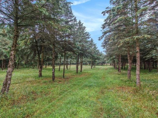 Desay Dr W, West Olive, MI 49460