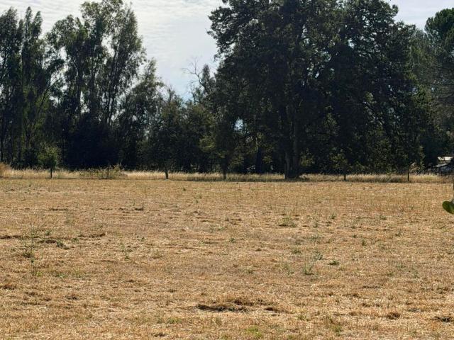 Deschutes Road