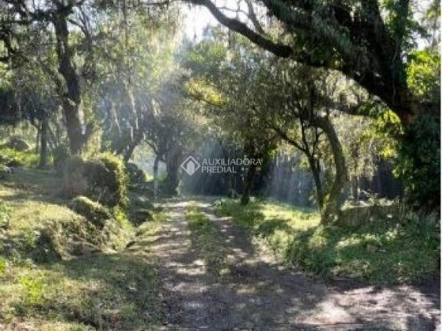 Descubra este local incrível, com 13 hectares, na Estrada Kanazawa, Bairro Vila Nova