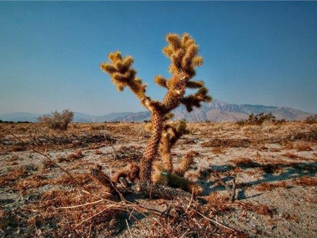 Desert Hot Springs CA 92240 LS96946324