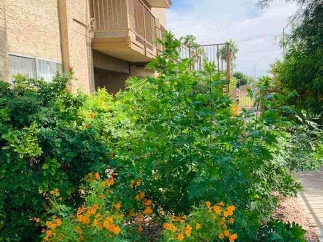 Desert Springs Apartments 1 Bedroom Apartment for Rent at 1750 E Bell Rd, Phoenix, AZ 85022